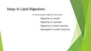 Digestion And Absorption of Lipids (1).pptx