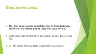 Digestion And Absorption of Lipids (1).pptx | Digestive Disorders ...