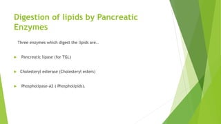 Digestion And Absorption of Lipids (1).pptx