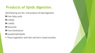 Digestion And Absorption of Lipids (1).pptx | Digestive Disorders ...