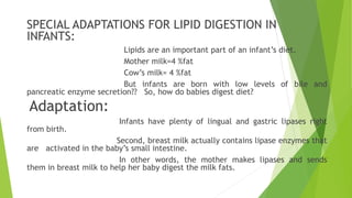 Digestion And Absorption of Lipids (1).pptx | Digestive Disorders ...