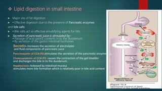 Digestion and absorption of lipids | PPTX