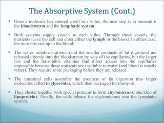 digestion_and_absorption_of_nutrients.ppt