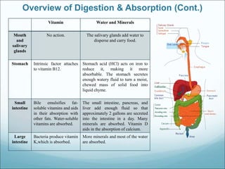 digestion_and_absorption_of_nutrients.ppt