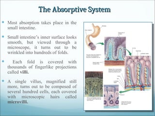 digestion_and_absorption_of_nutrients.ppt