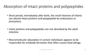 Digestion and absorption of protein Dr.Ashok Kumar j | PPTX