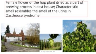 Digestion and absorption of protein Dr.Ashok Kumar j | PPTX