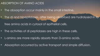 digestion and absorption of protein.pptx