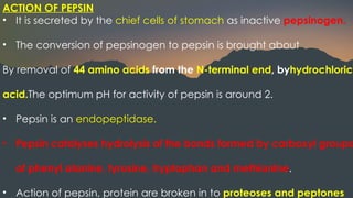 digestion and absorption of protein.pptx