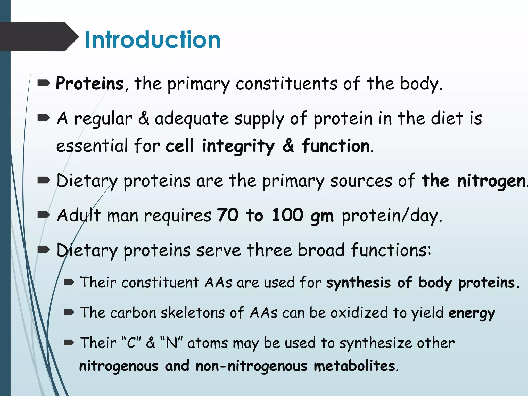 Digestion and absorption of proteins | PPSX