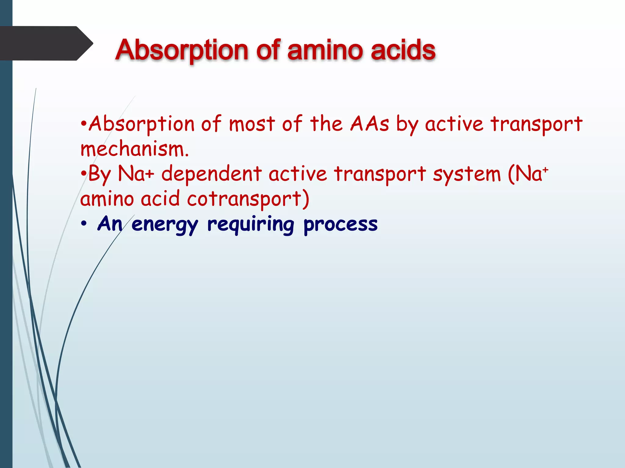 Digestion and absorption of proteins | PPSX