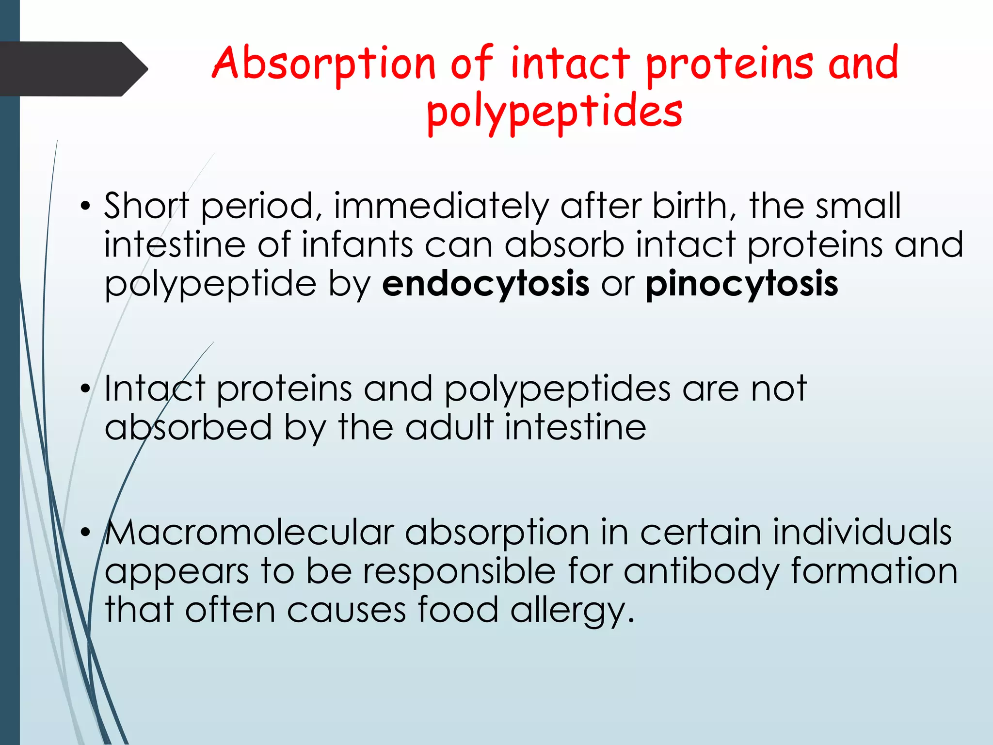 Digestion and absorption of proteins | PPSX