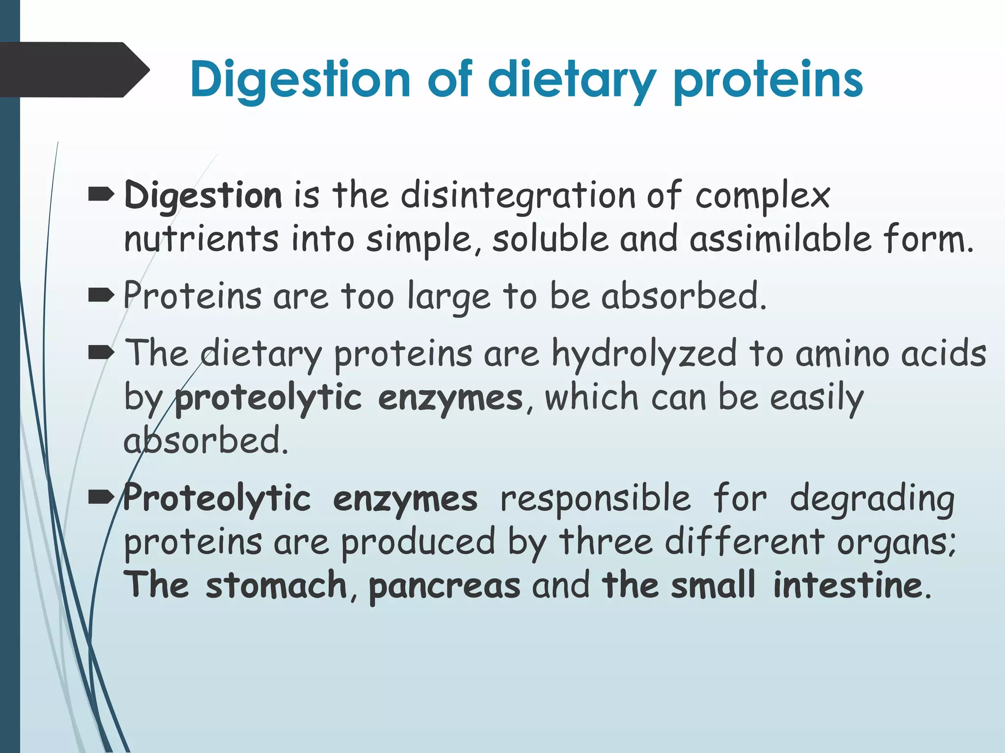 Digestion and absorption of proteins | PPSX