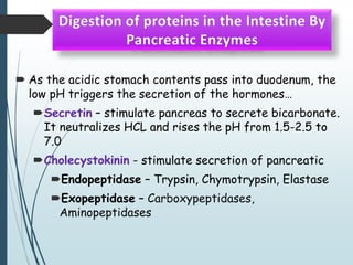 Digestion and absorption of proteins | PPSX