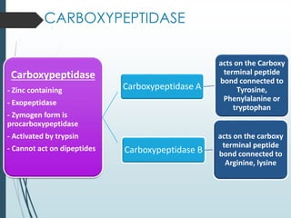 Digestion and absorption of proteins | PPSX