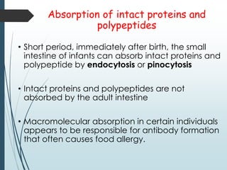 Digestion and absorption of proteins | PPSX