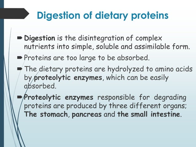 Digestion and absorption of proteins | PPSX | Digestive Disorders ...