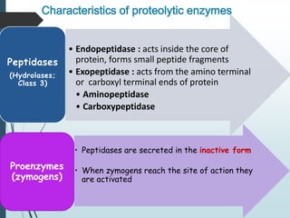 Digestion and absorption of proteins | PPSX