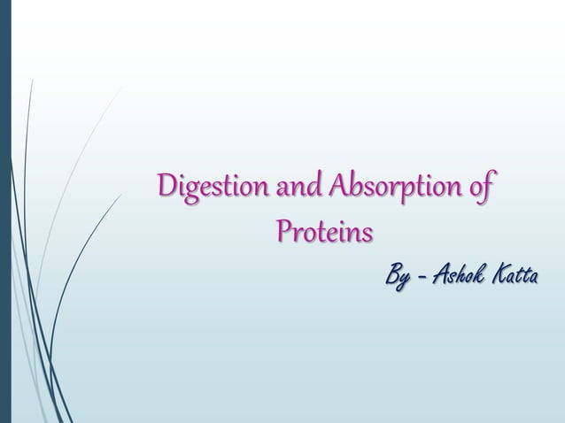 Digestion and absorption of proteins | PPT