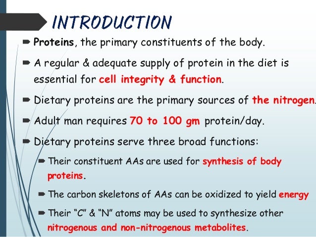 Digestion and absorption of proteins