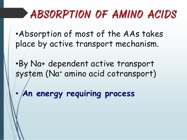 Digestion and absorption of proteins