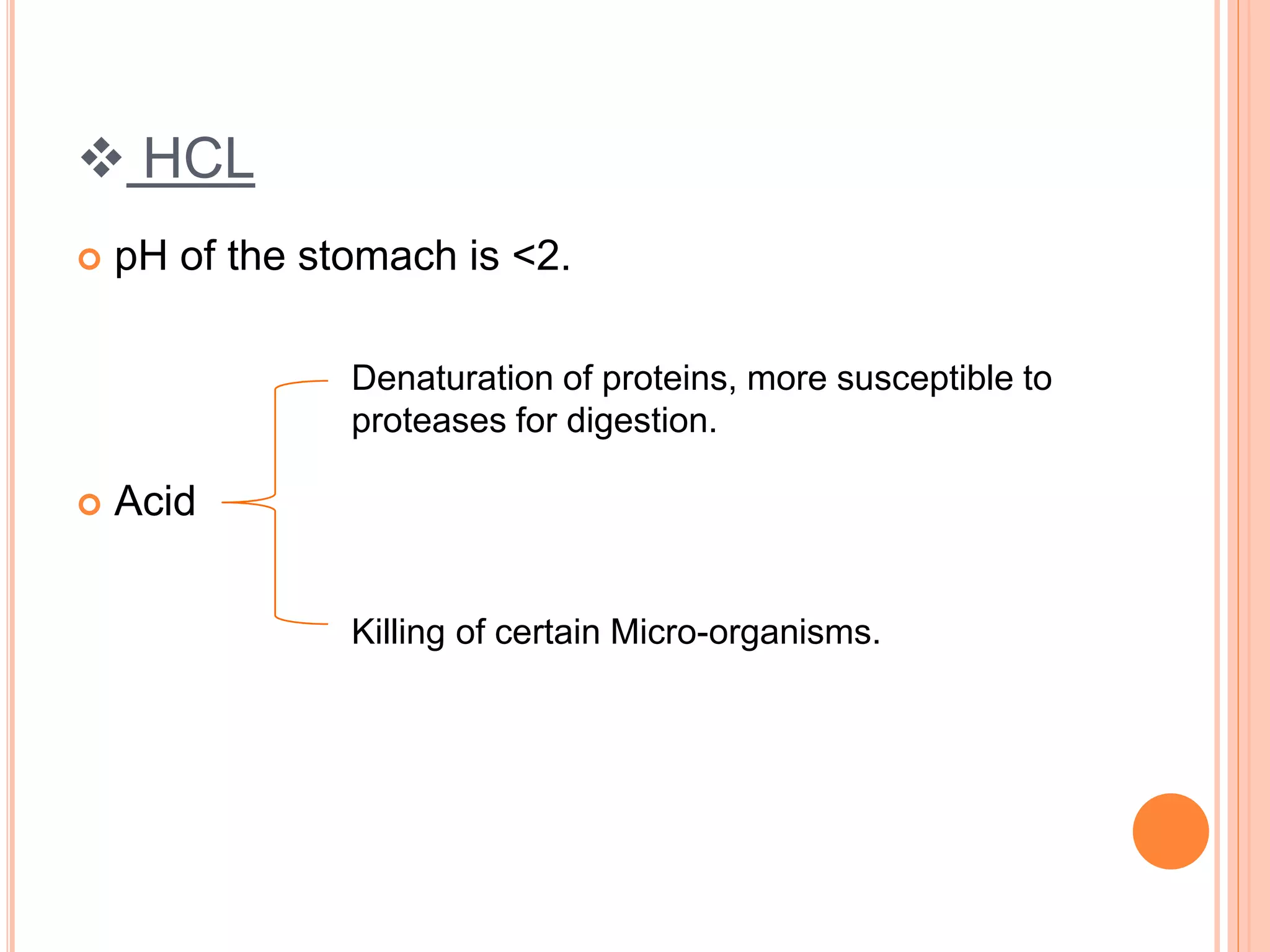 Digestion and absorption of proteins | PPTX