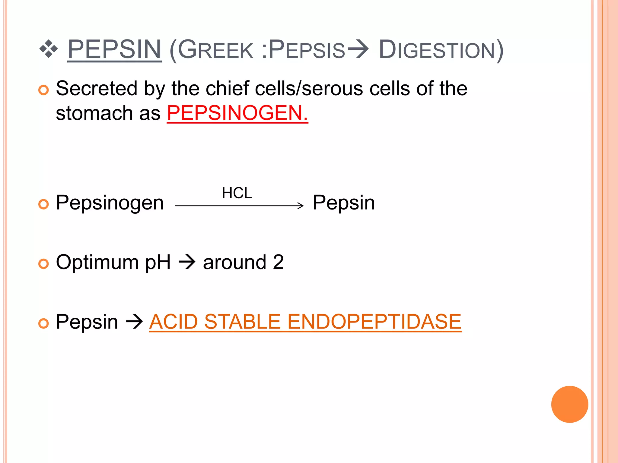 Digestion and absorption of proteins | PPTX