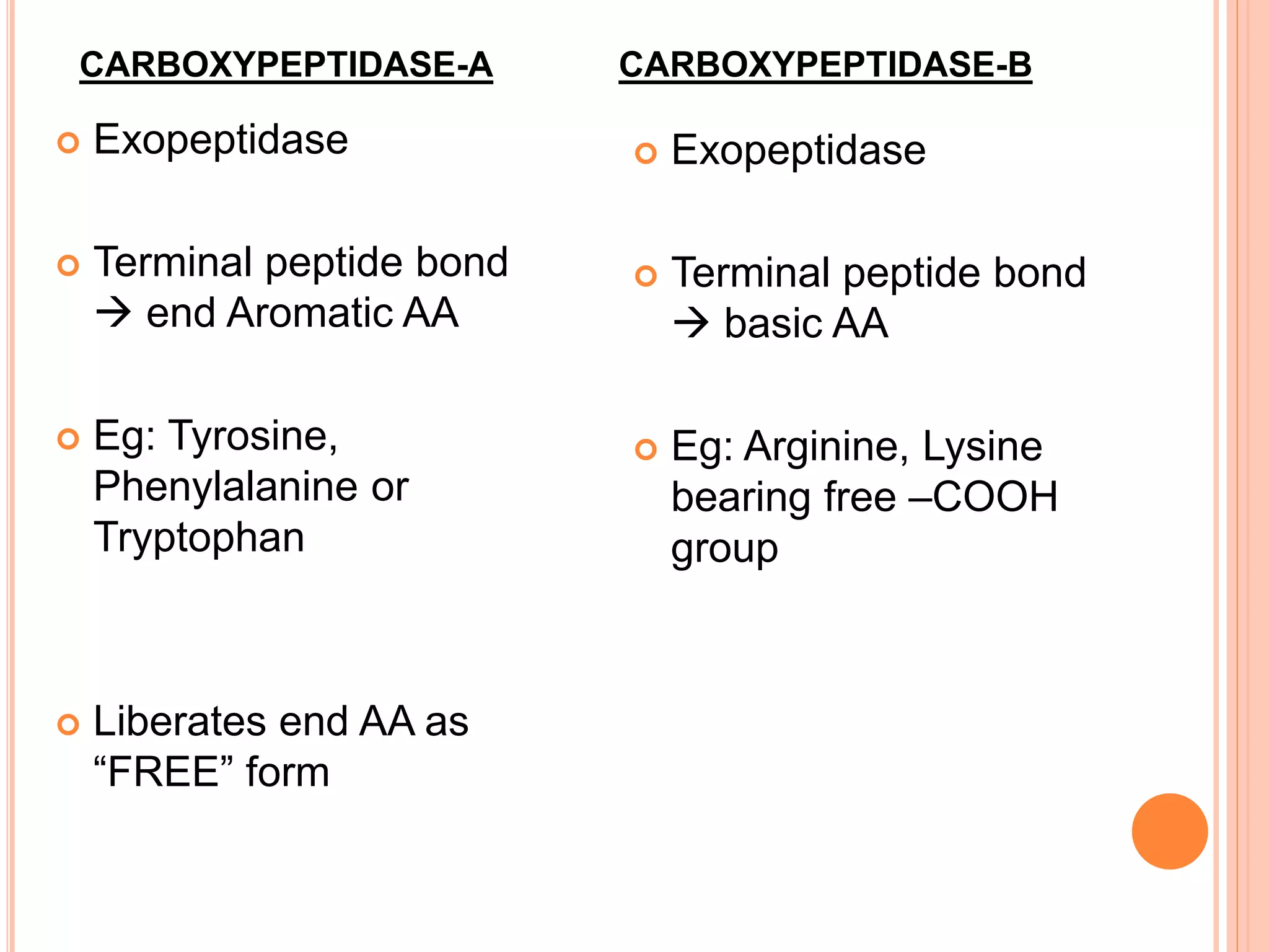 Digestion and absorption of proteins | PPTX