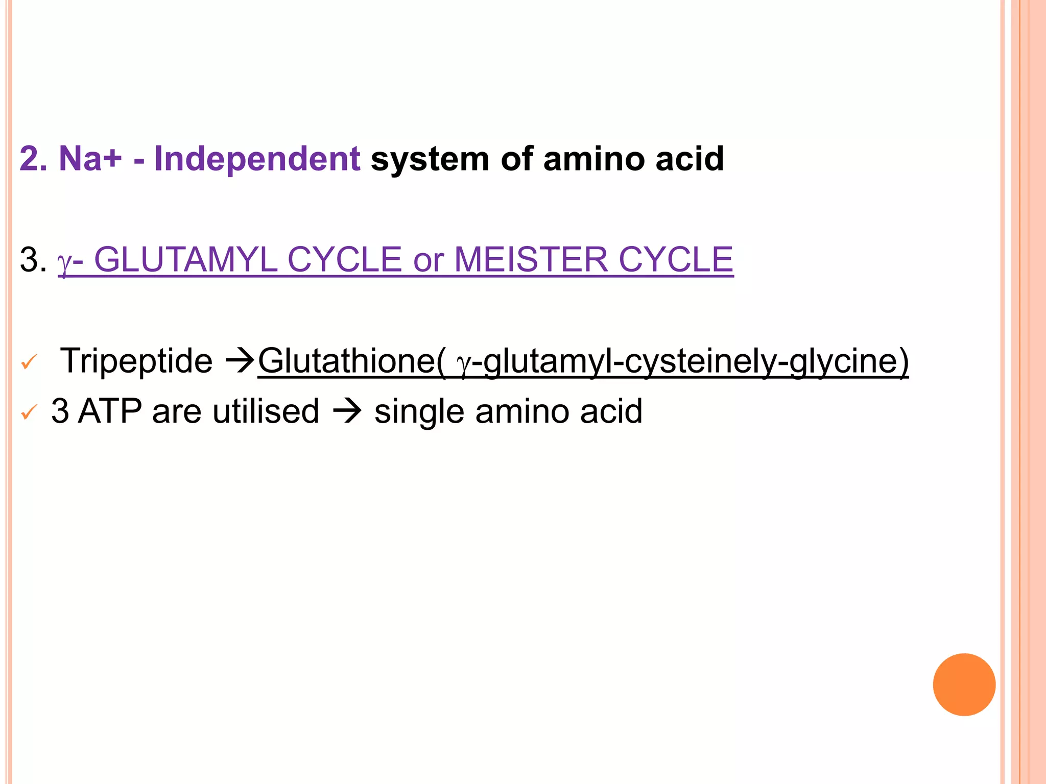 Digestion and absorption of proteins | PPTX