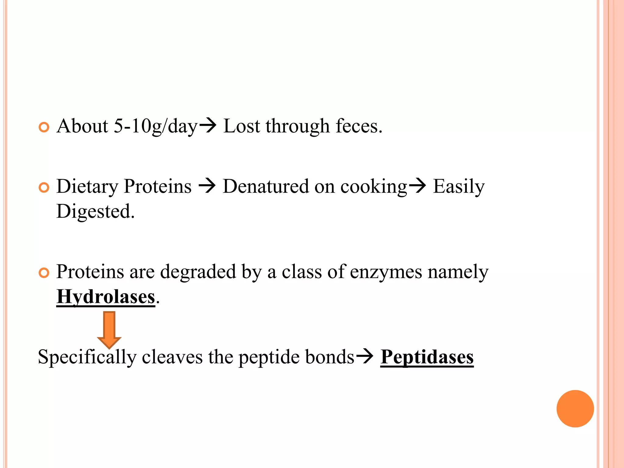 Digestion and absorption of proteins | PPTX