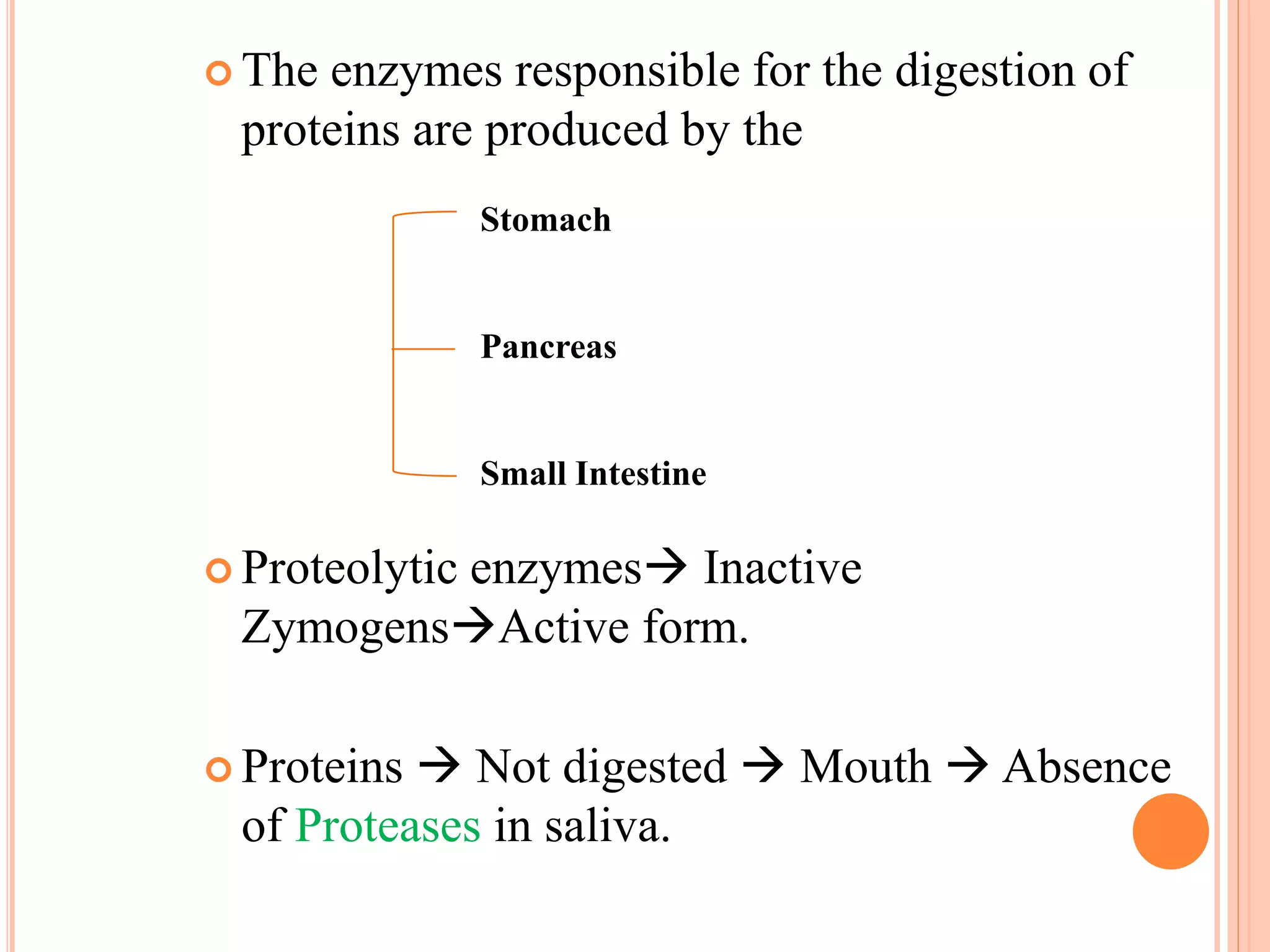 Digestion and absorption of proteins | PPTX