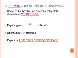 Digestion and absorption of proteins | PPTX