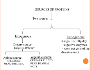Digestion and absorption of proteins | PPTX