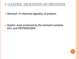 Digestion and absorption of proteins | PPTX