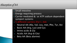 Digestion and absorption of proteins | PPTX