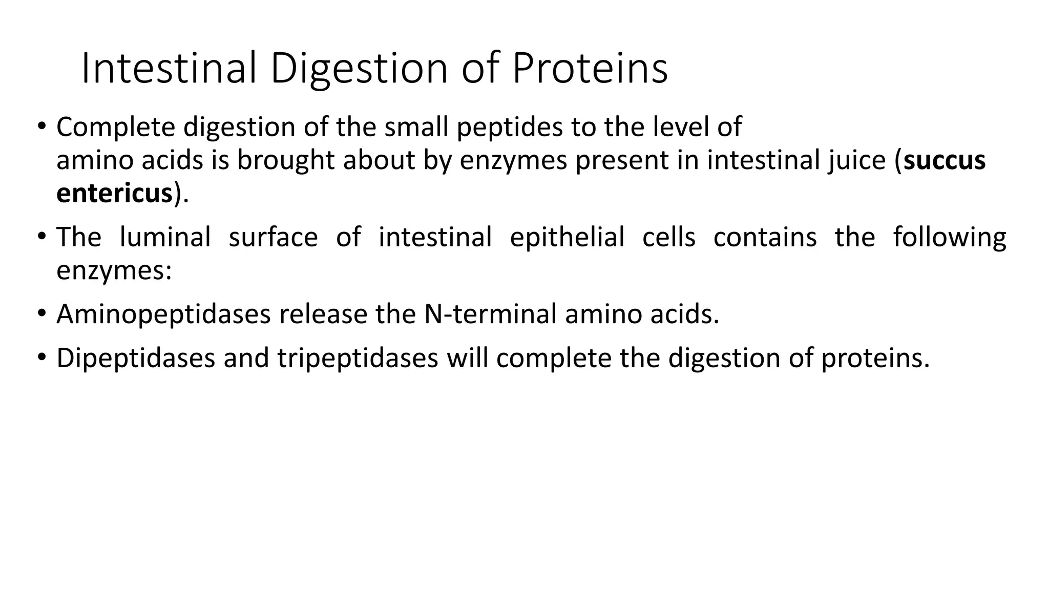 digestion and absorption of proteins.pptx
