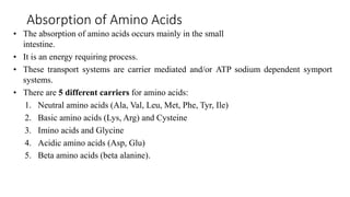 digestion and absorption of proteins.pptx