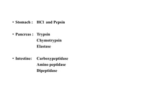 digestion and absorption of proteins.pptx