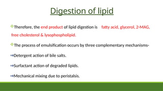 Digestion and Absorption Processes of foods.pptx