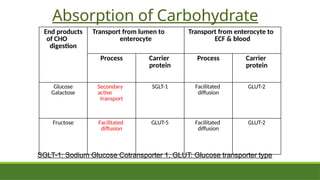 Digestion and Absorption Processes of foods.pptx