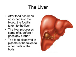 digestion_and_enzymes.ppt