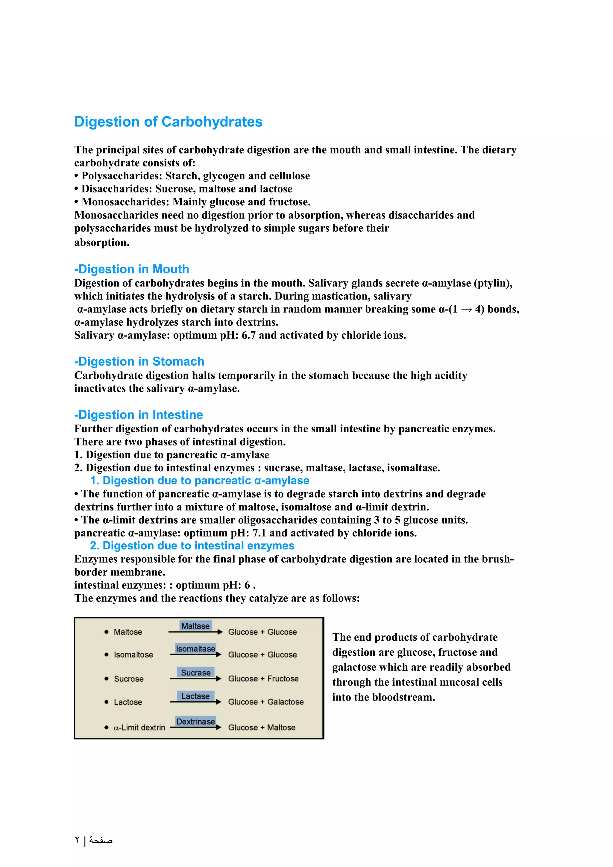 Biochemistry of Digestion In Human Body.pdf