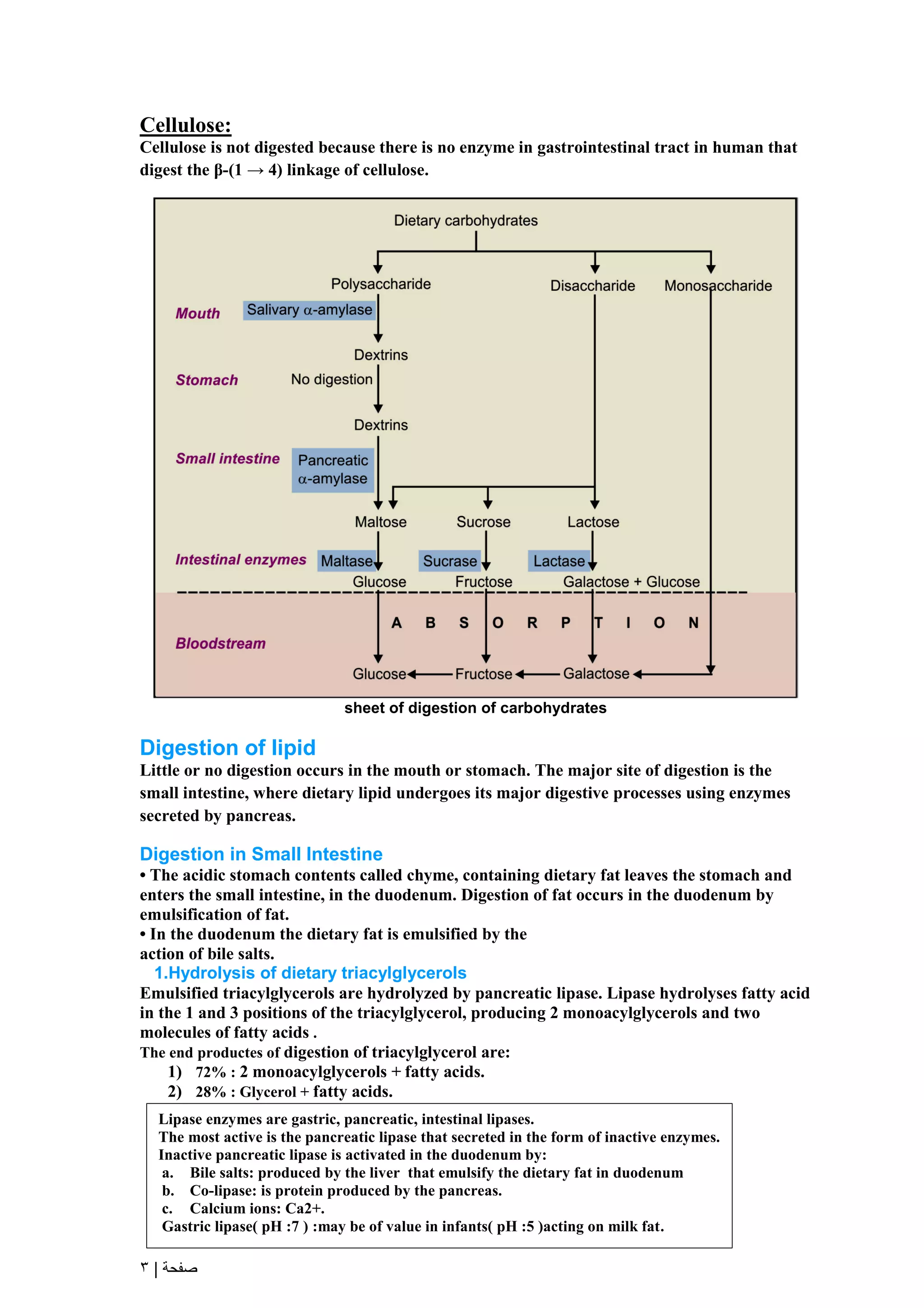 Biochemistry of Digestion In Human Body.pdf