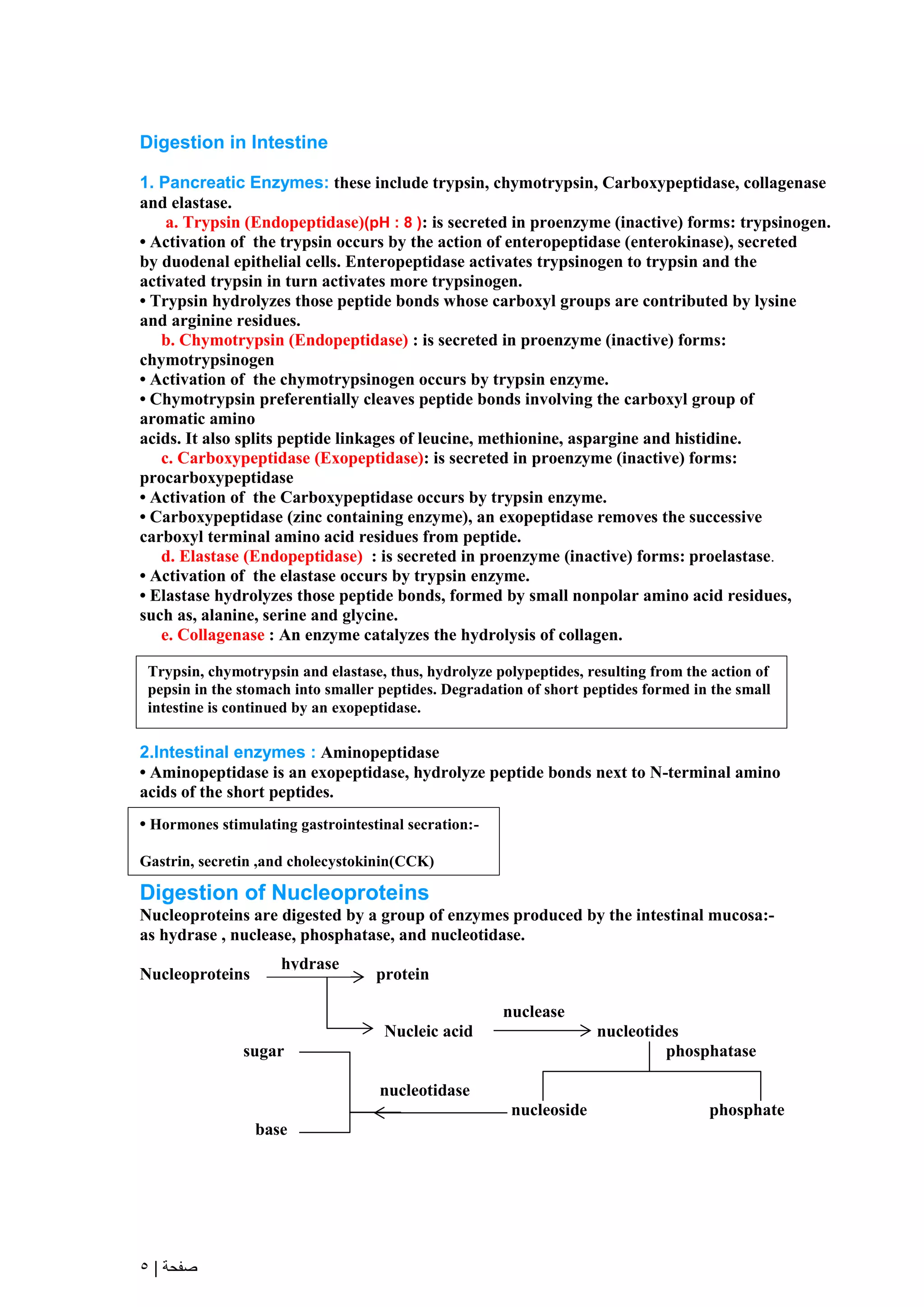 Biochemistry of Digestion In Human Body.pdf