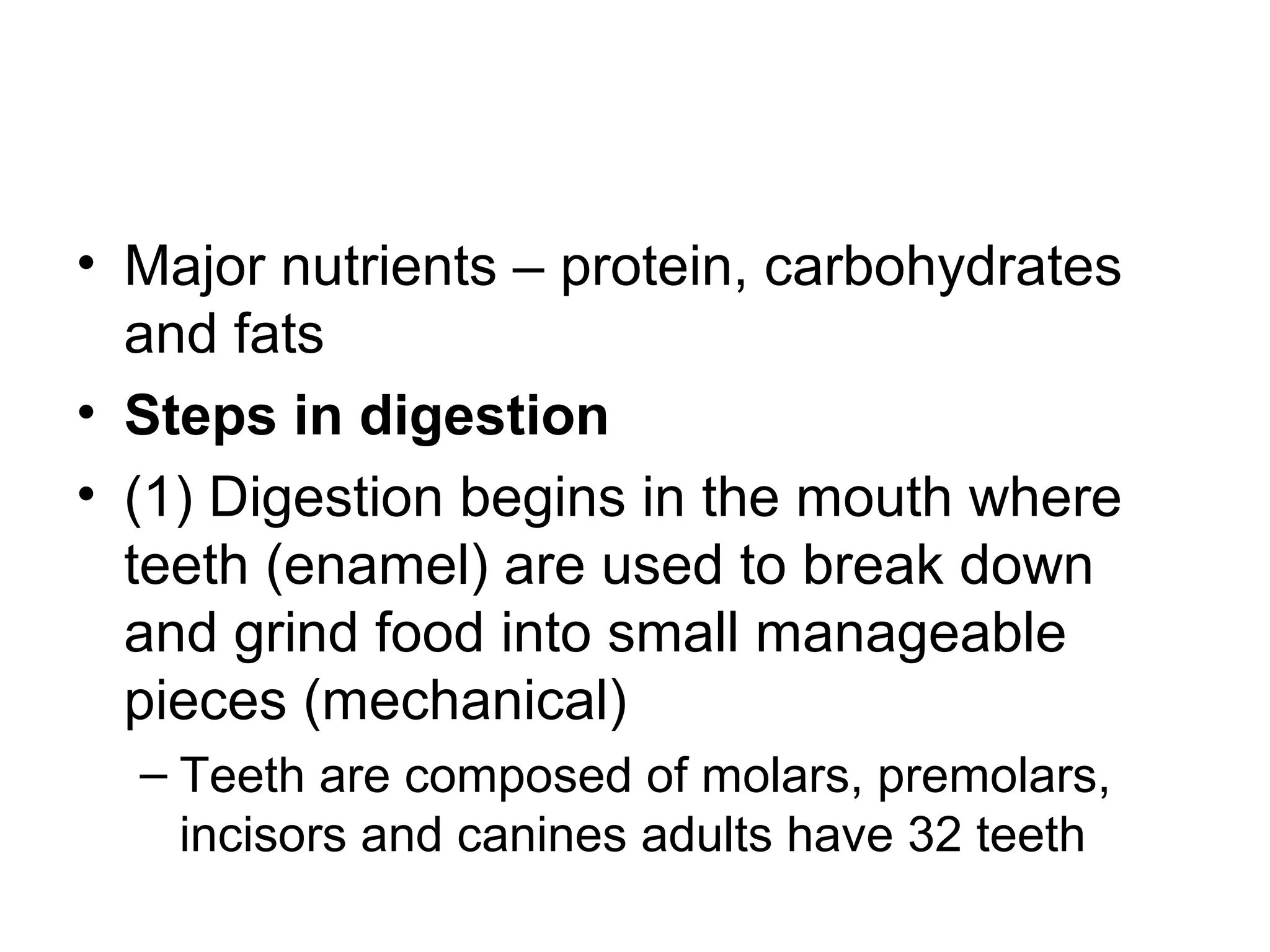 Digestion and urinary | PPT | Chemistry | Science