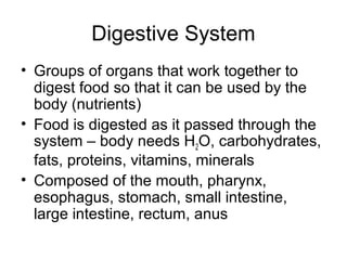 Digestion and urinary | PPT | Chemistry | Science