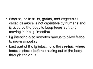 Digestion and urinary | PPT