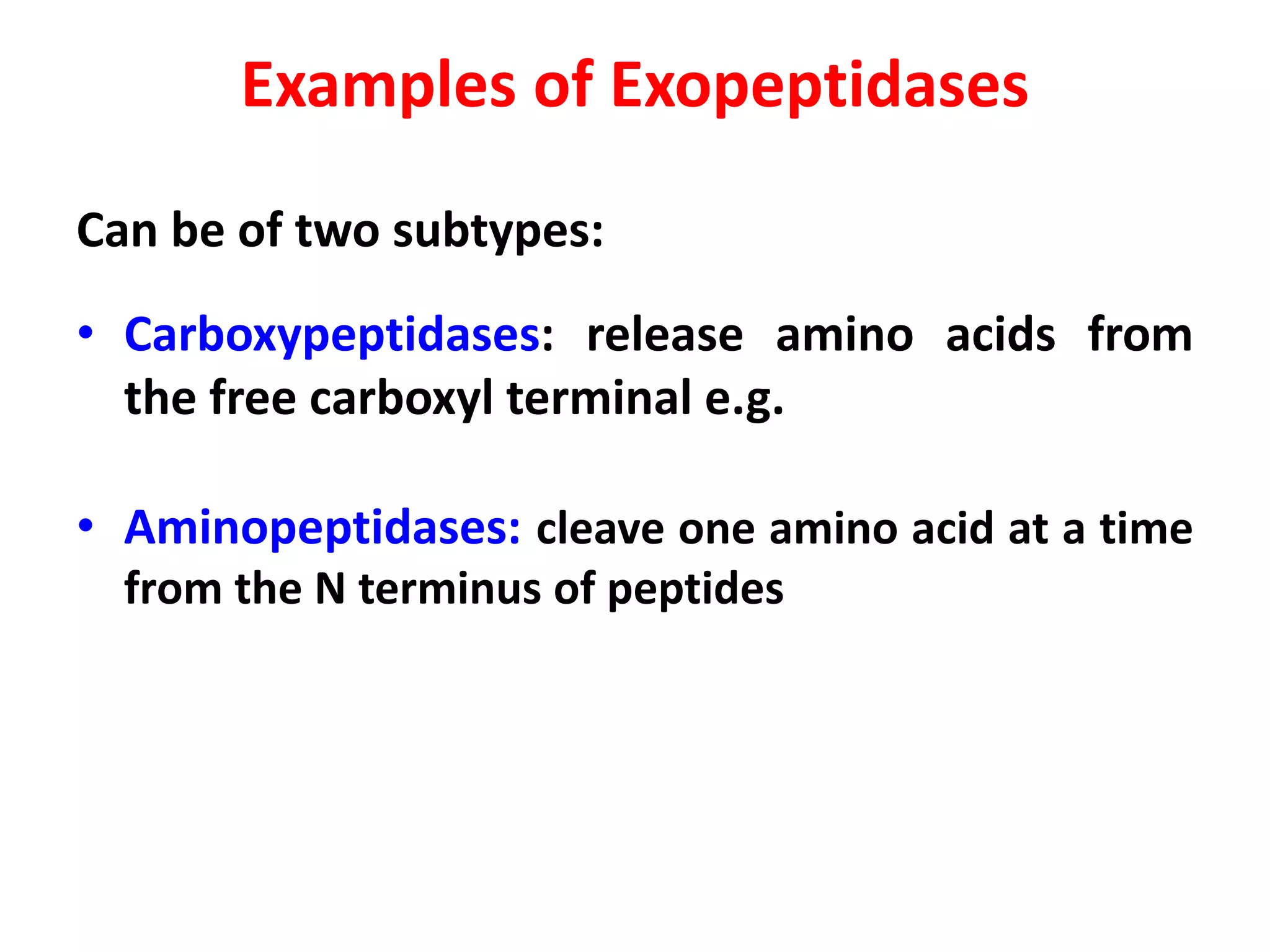 Digestion biochemistry | PPTX