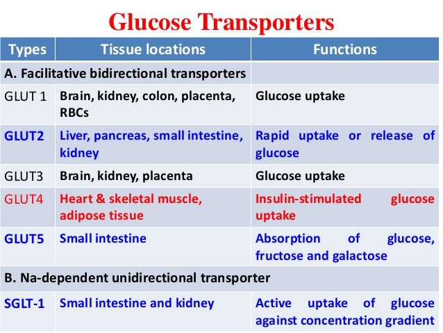 Digestion biochemistry
