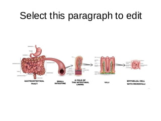 Digestion Biology ppt.pdf